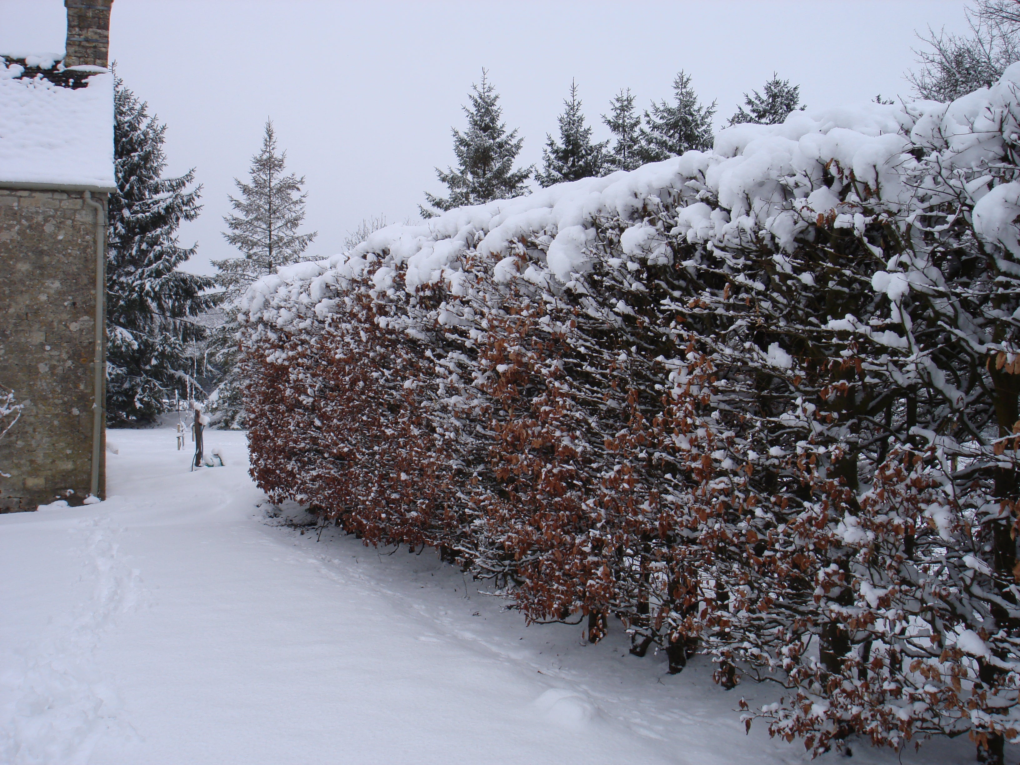 First snow – Genus Gardenwear