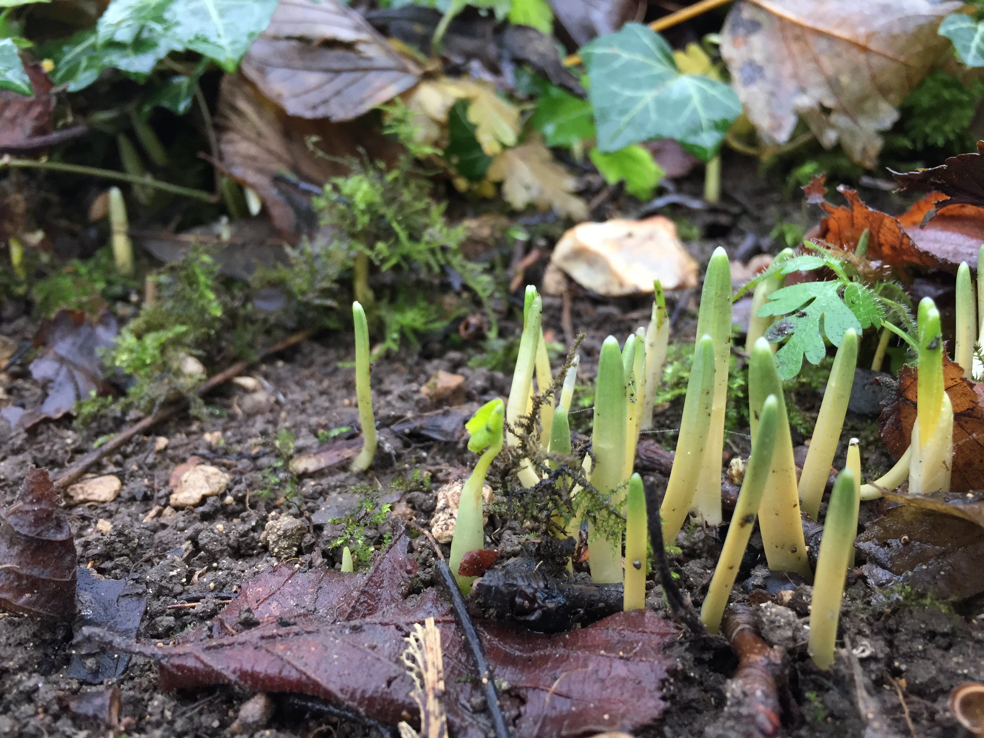 Signs of life – Genus Gardenwear